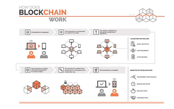 Blockchain Technology Improves Adjudication Quality and Data Integrity